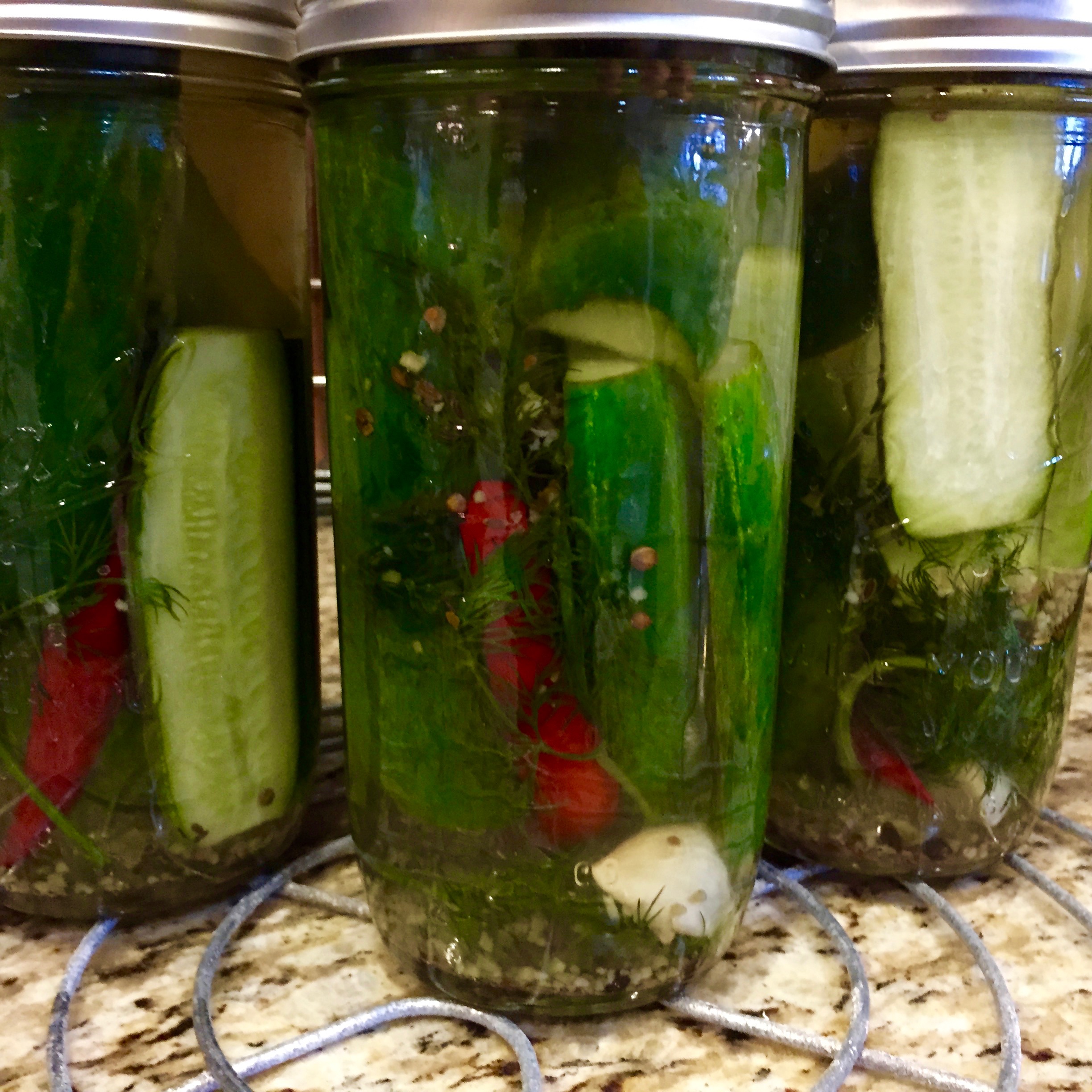 Homemade Garlic Dill Pickles - WooPigFoodie
